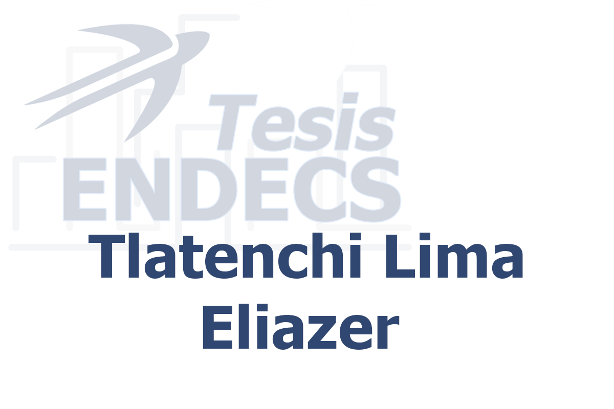 Informe en la práctica del Lic. Eliazer Tlatenchi Lima - ENDECS