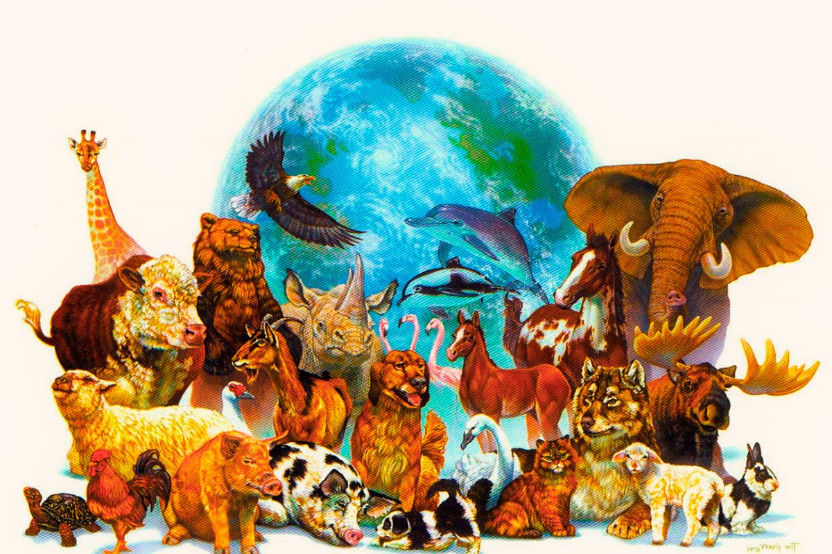 Zoología aplicada... lee más en #eLibro #Uninter